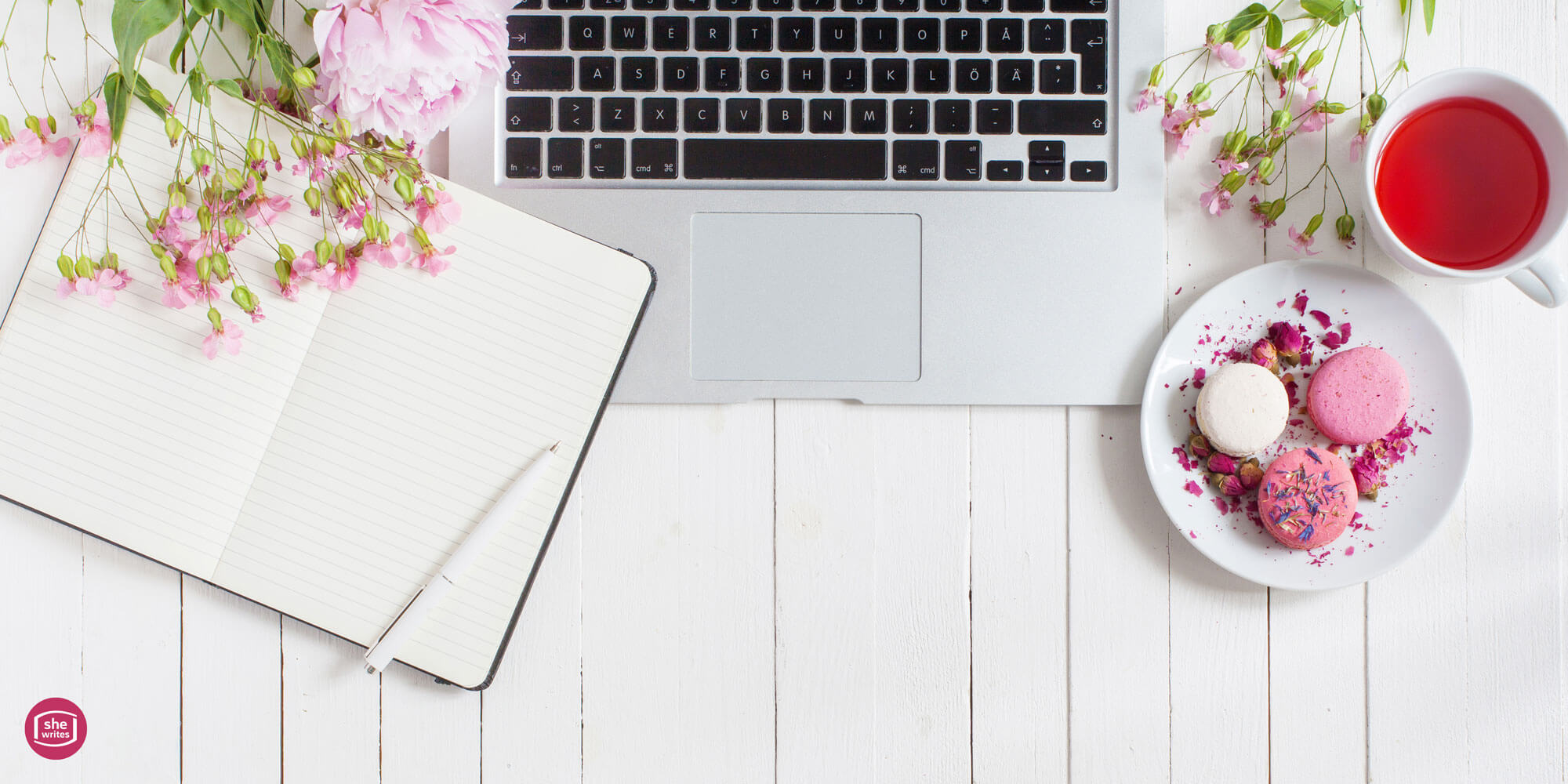 notebook - SparkPoint Studio